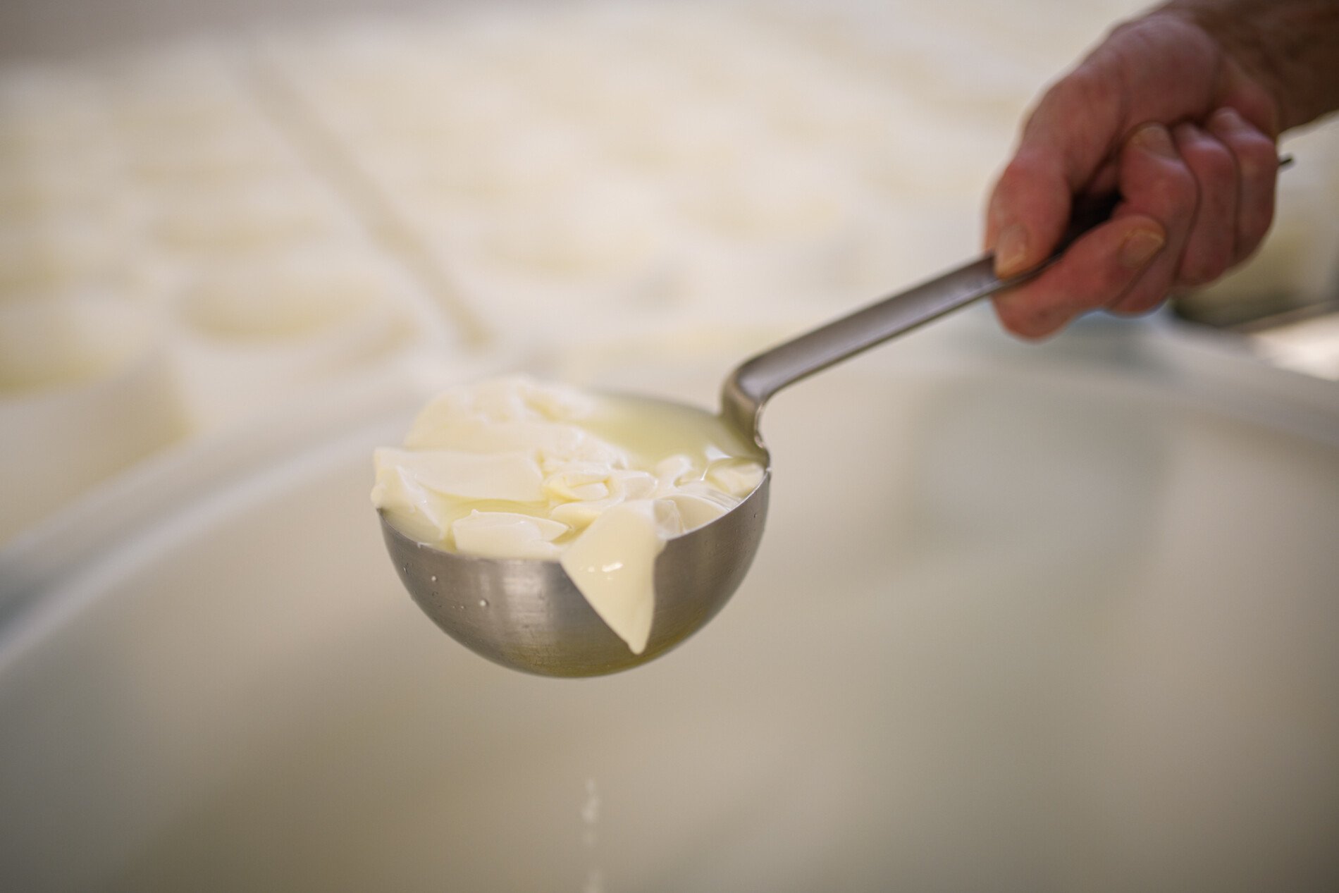 Nos Fromages - Isigny Sainte-Mère