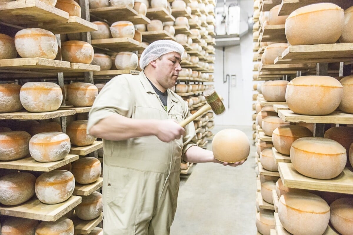Cheeses - Isigny Sainte-Mère