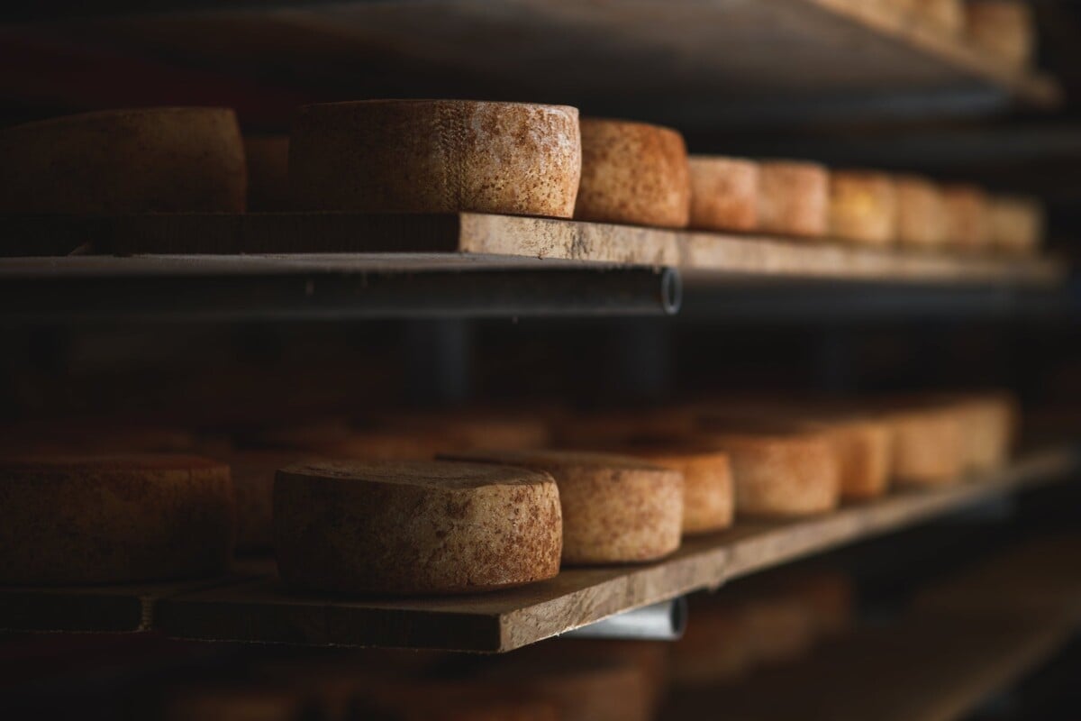 Cheeses - Isigny Sainte-Mère