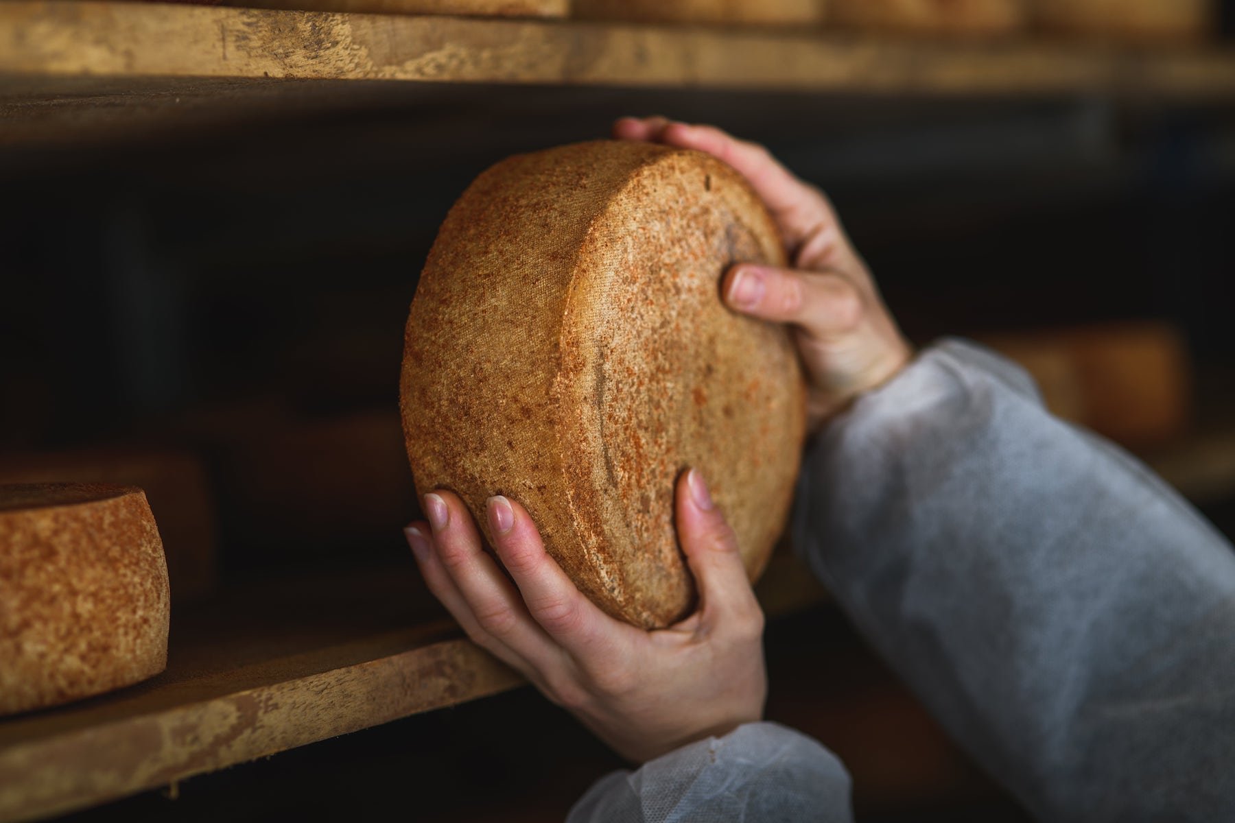 Cheeses - Isigny Sainte-Mère
