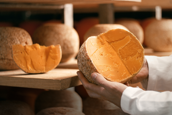 Our Mimolette awarded Best Cheese in the World - Isigny Sainte-Mère
